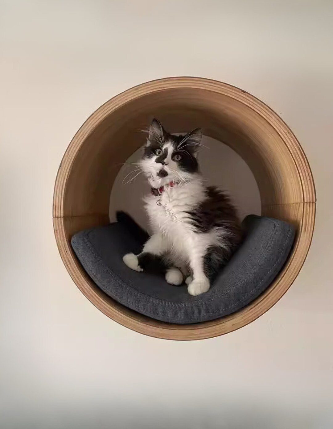 Luxury Cat Wall Bed, Wooden Cat Wall House, Round Wall-mounted Cat Bed ...