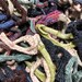 Alpaca-blend Sock Loops, Mixed Colors, Soft - 8 or 16 Oz., 400+ Loops ...