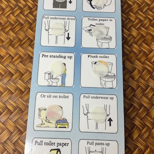 Autism PECS, Visual Schedule Hygiene Routine for Kids-potty Training ...