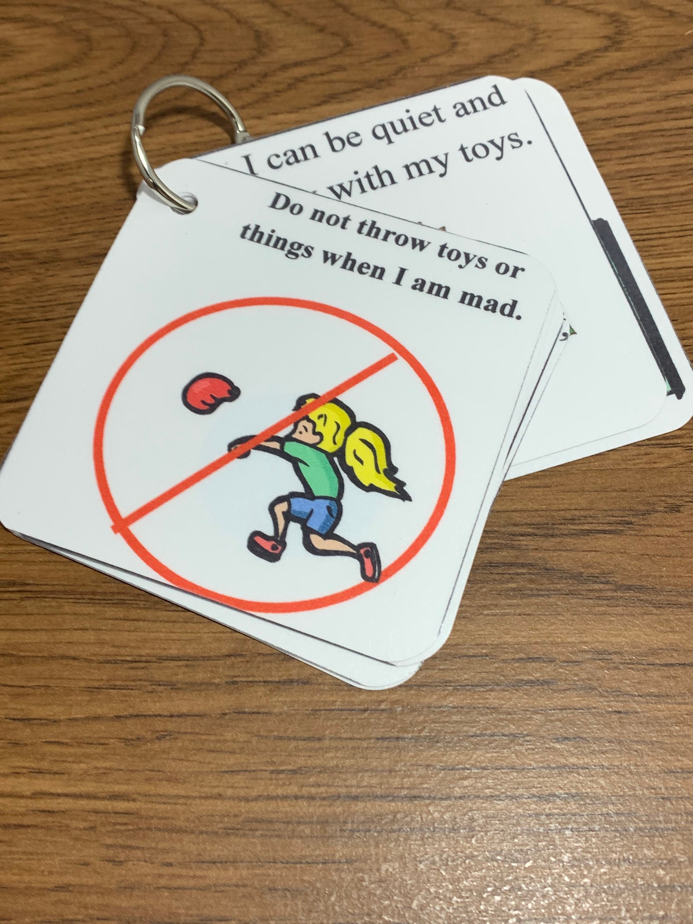 No Throwing Toys