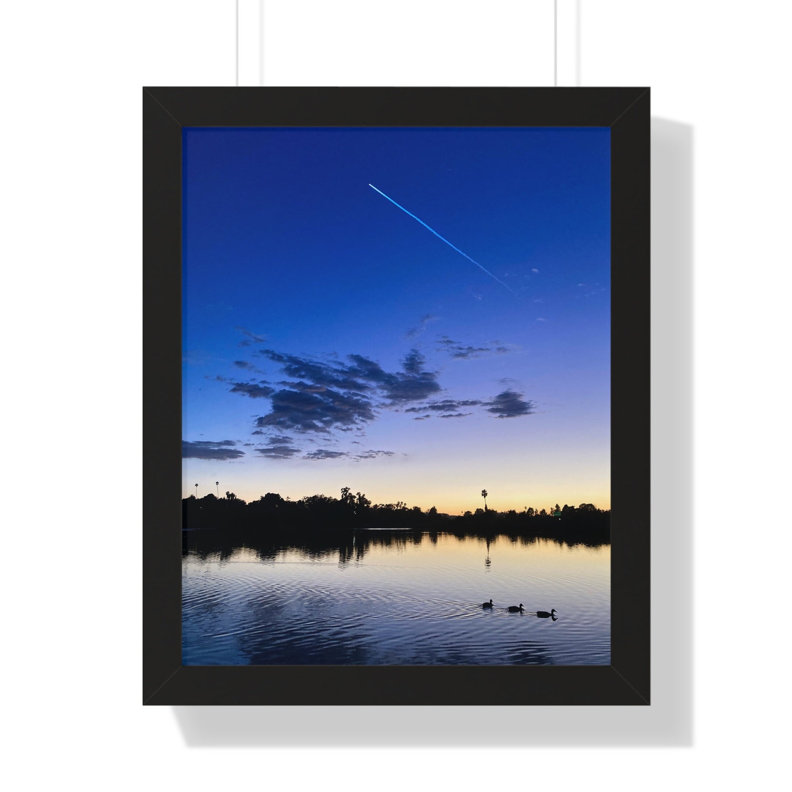 Rocket Launch Over Swimming Ducks - Framed Vertical Poster - Etsy