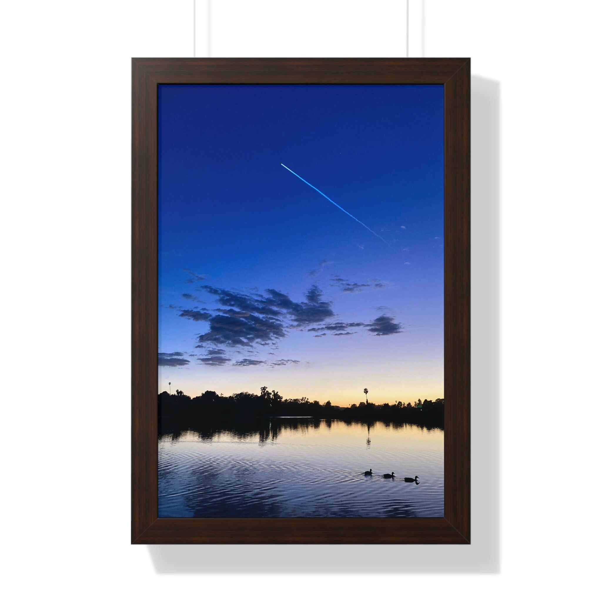 Rocket Launch Over Swimming Ducks - Framed Vertical Poster - Etsy