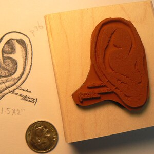 Anatomical Ear Rubber Stamp P36 - Etsy