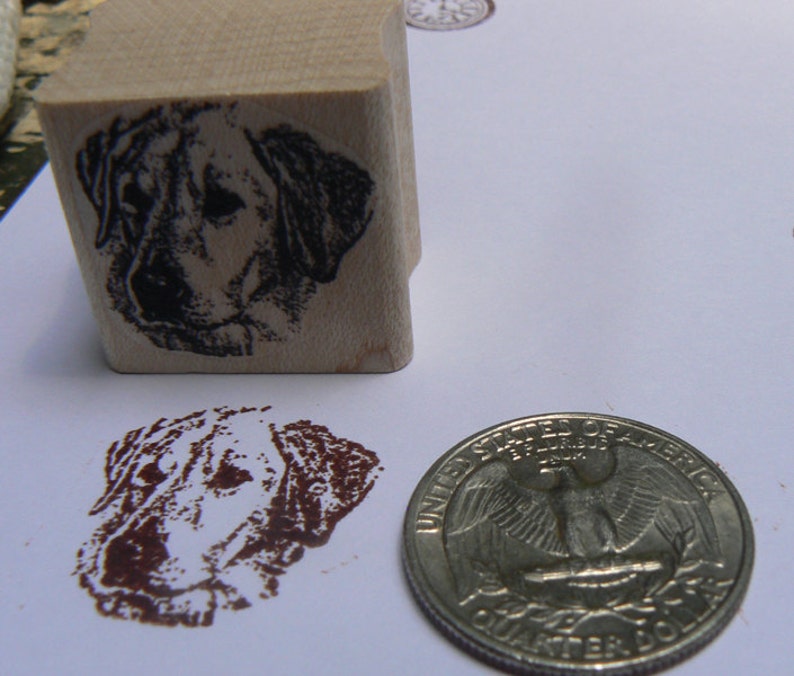 P24 Labrador Dog Rubber Stamp WM Miniature 1x1 - Etsy