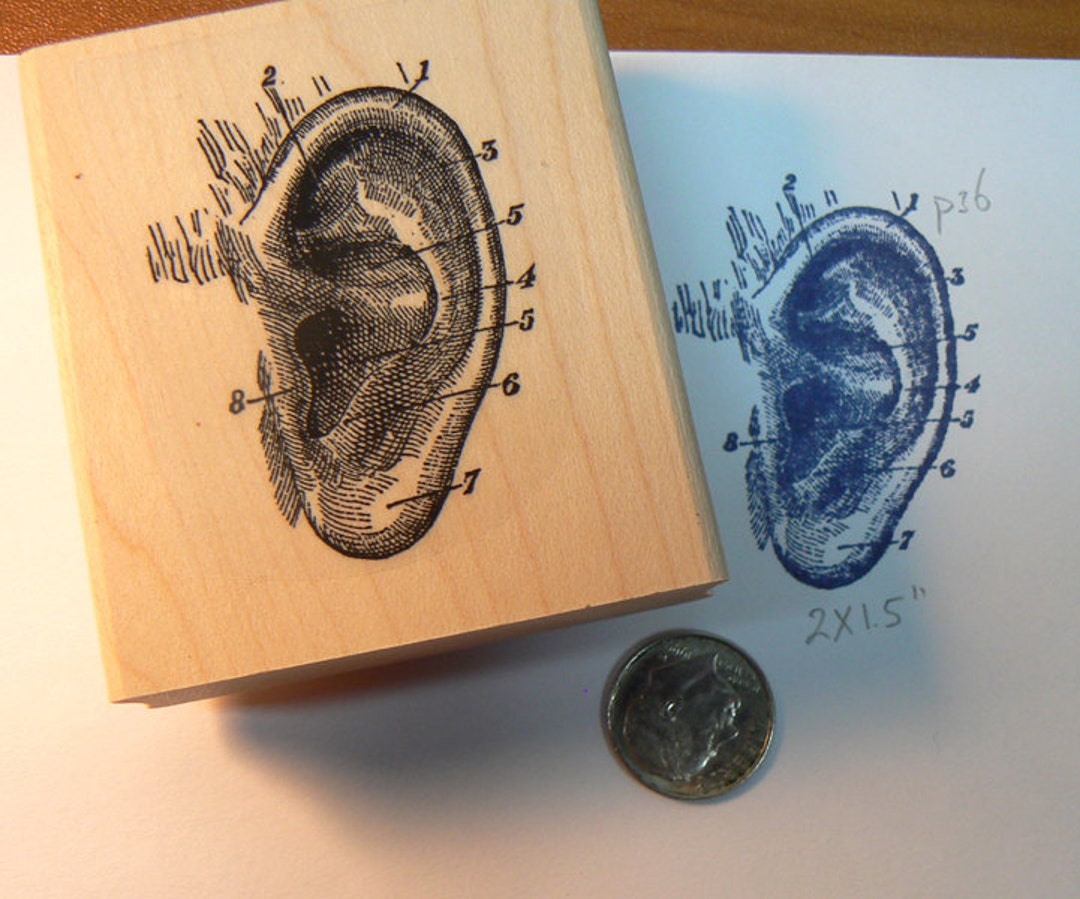 Ear Rubber Stamp WM P36 - Etsy