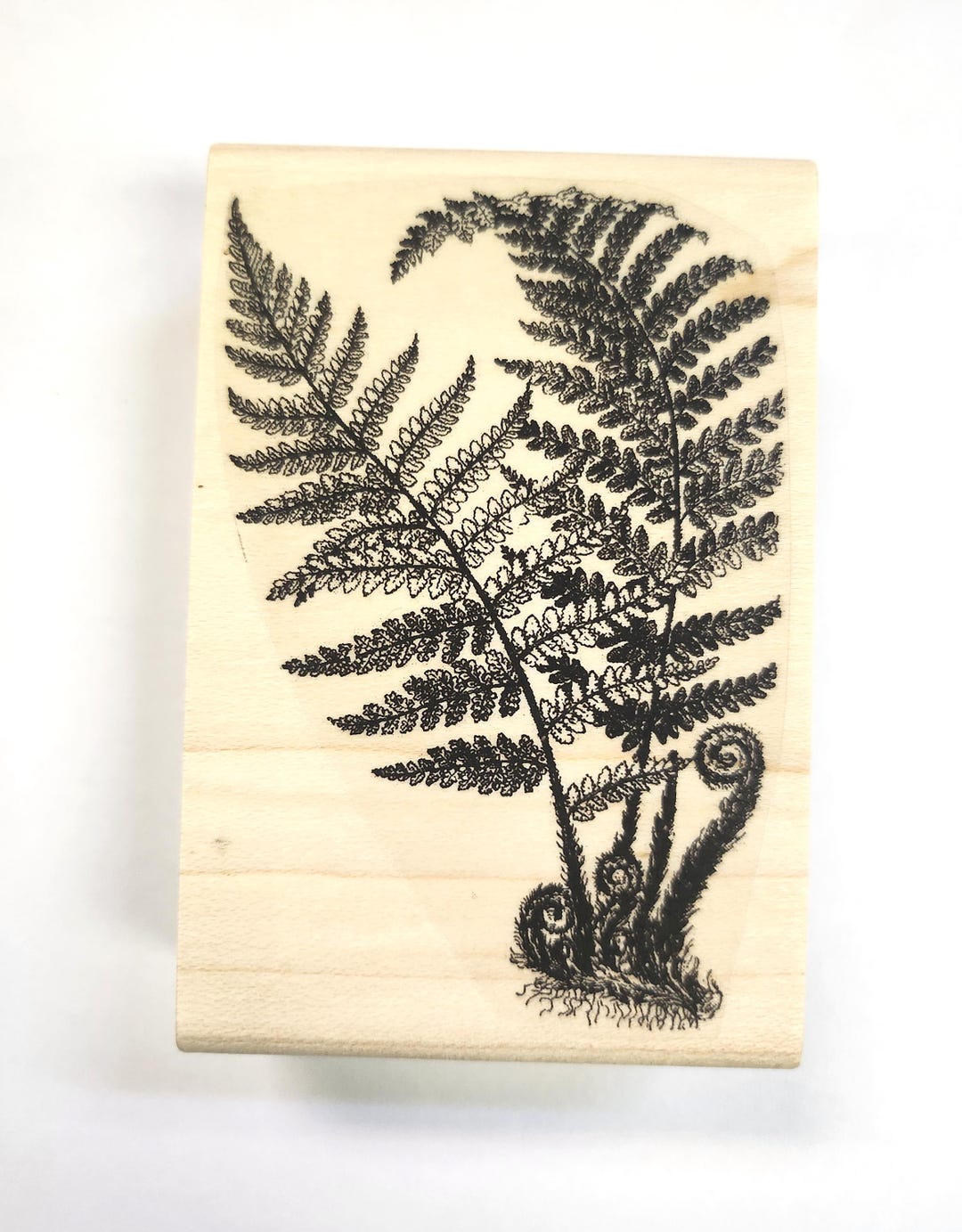 Large Fern Rubber Stamp P53 - Etsy