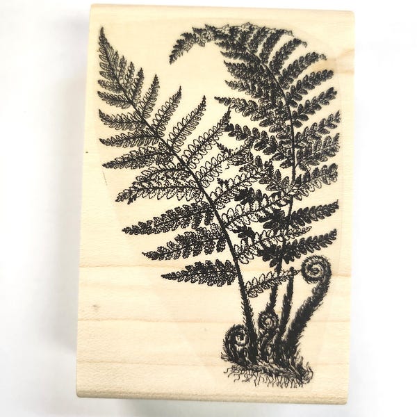 Fern Stamp - Etsy