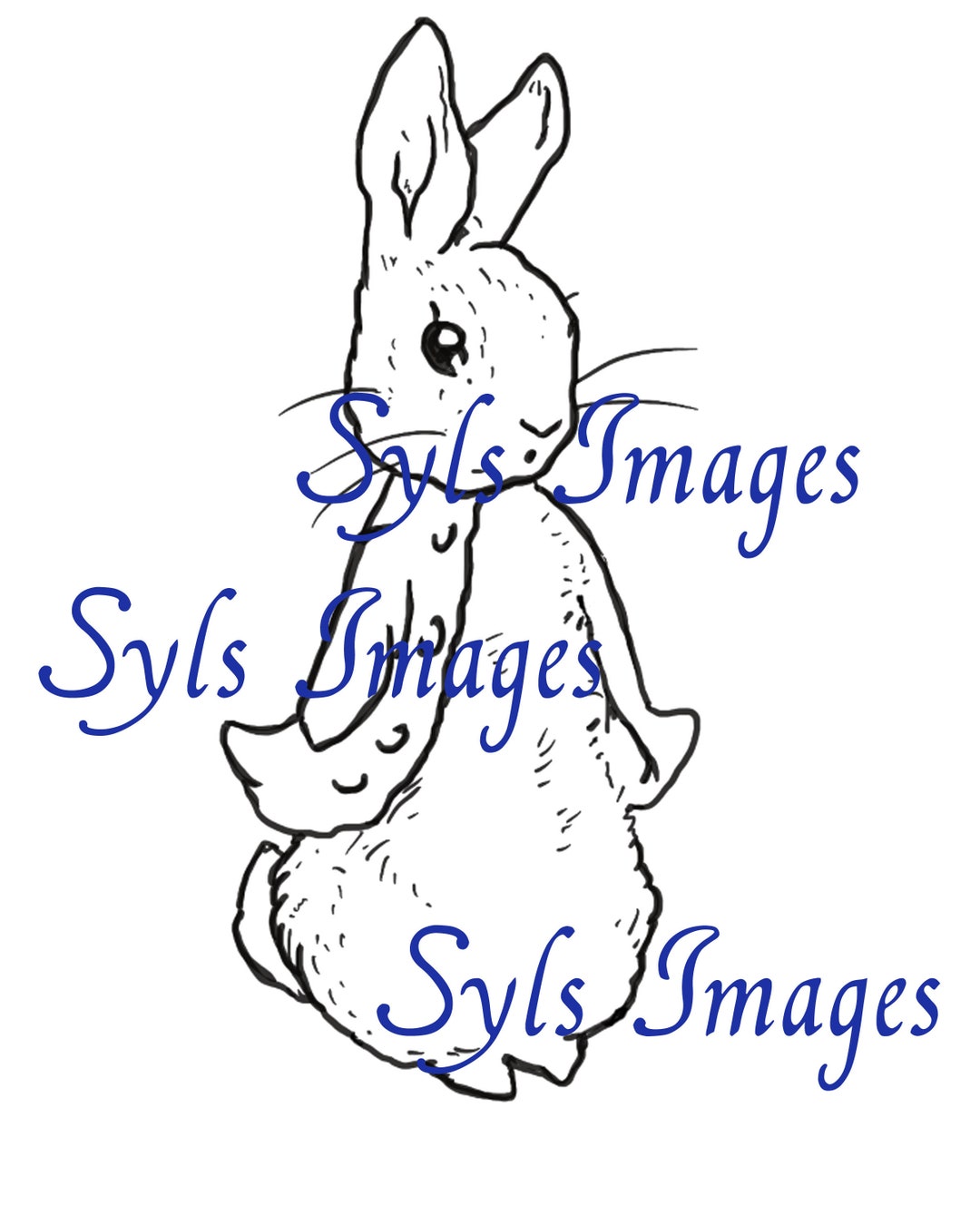 Peter Rabbit - Easy -instant Digital Download - SVG and Jpeg -PNG ...