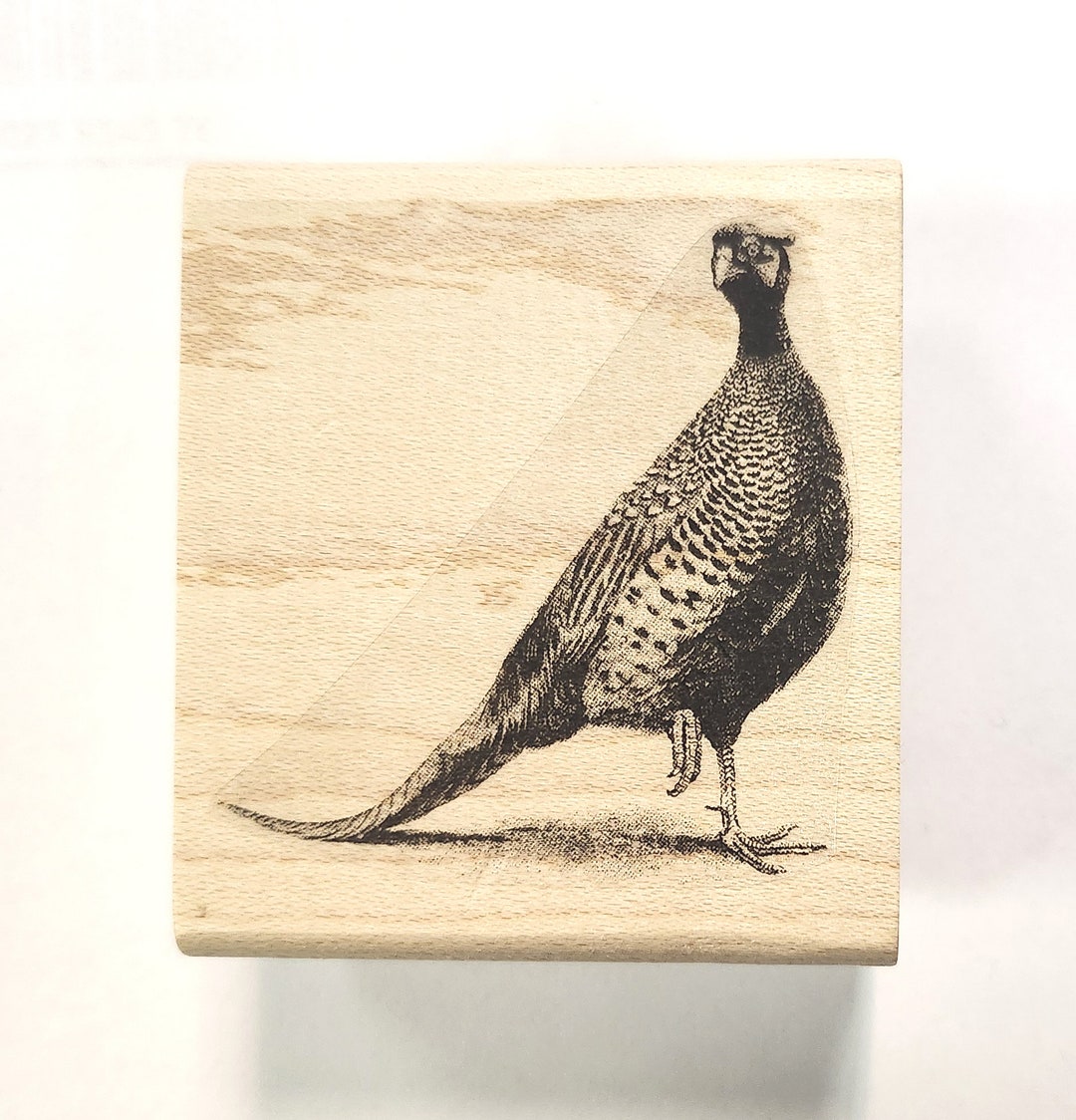 P132 Pheasant Bird Rubber Stamp - Etsy