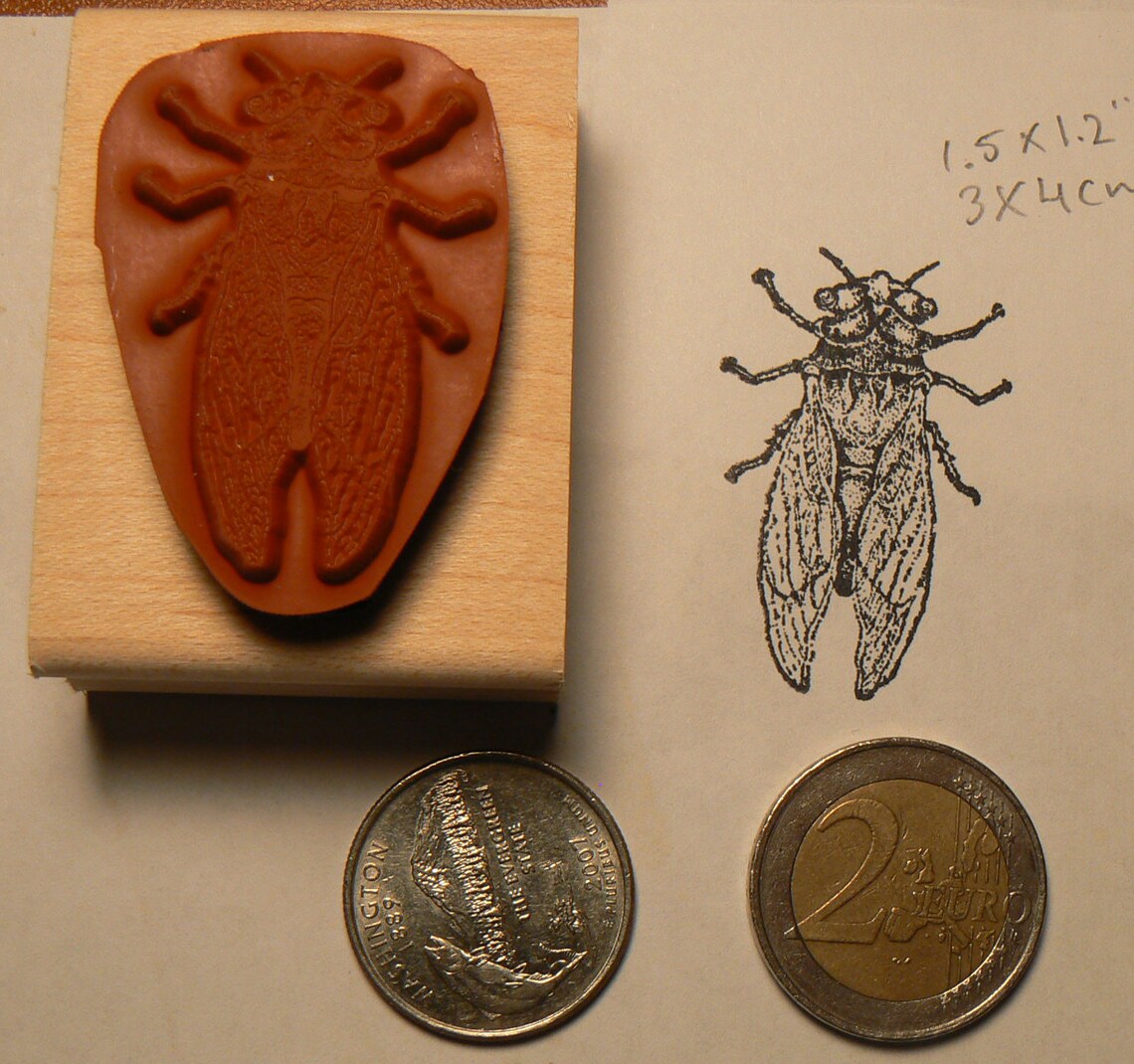 Cicada Insect Rubber Stamp P60 - Etsy