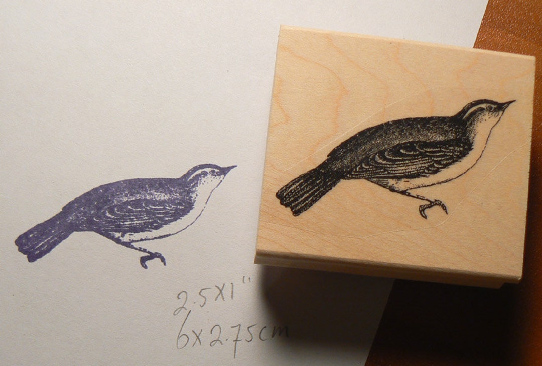 P15 Wren Bird Rubber Stamp - Etsy