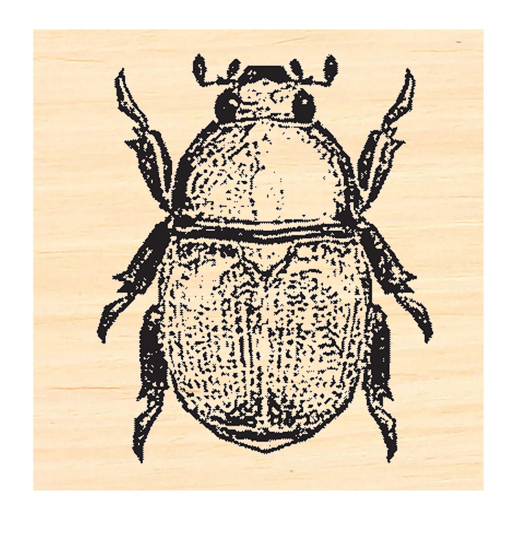 P137 Scarab Beetle Rubber Stamp - Etsy
