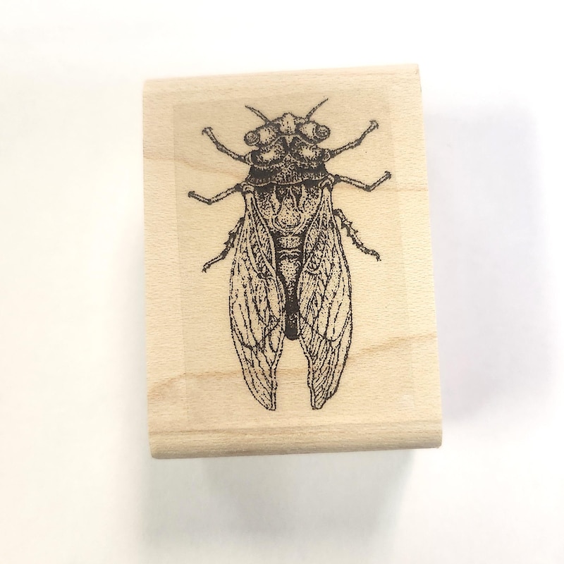 Bug Stamps - Etsy