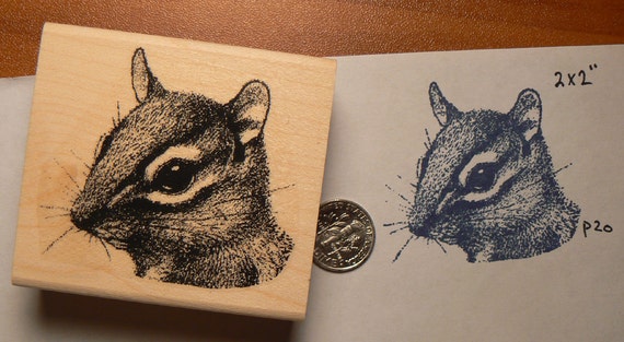 Chipmunk close up rubber stamp WM P20 | Etsy