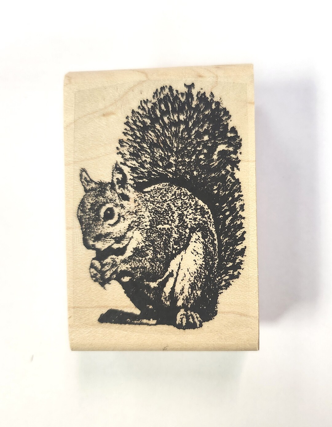 Squirrel Rubber Stamp Q2 - Etsy