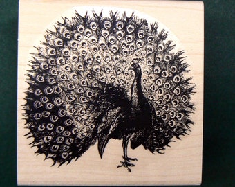 Peacock Rubber Stamp | Etsy