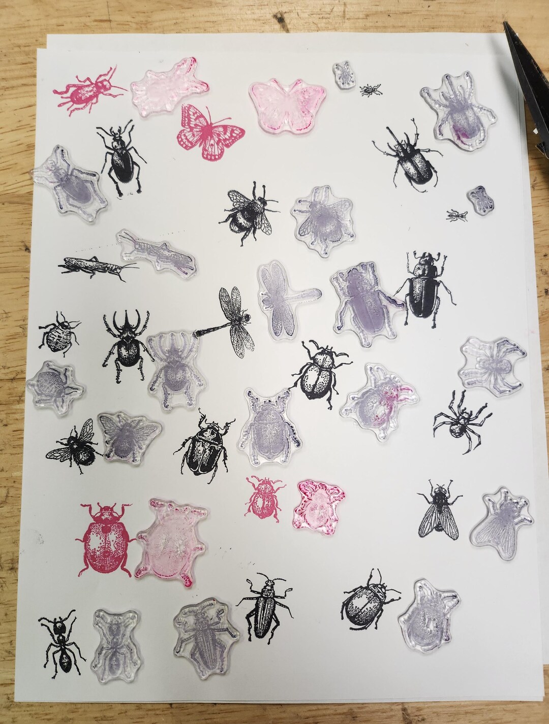 Clear Bugs, Insects - Rubber Stamps 6x4 Sheet - Etsy