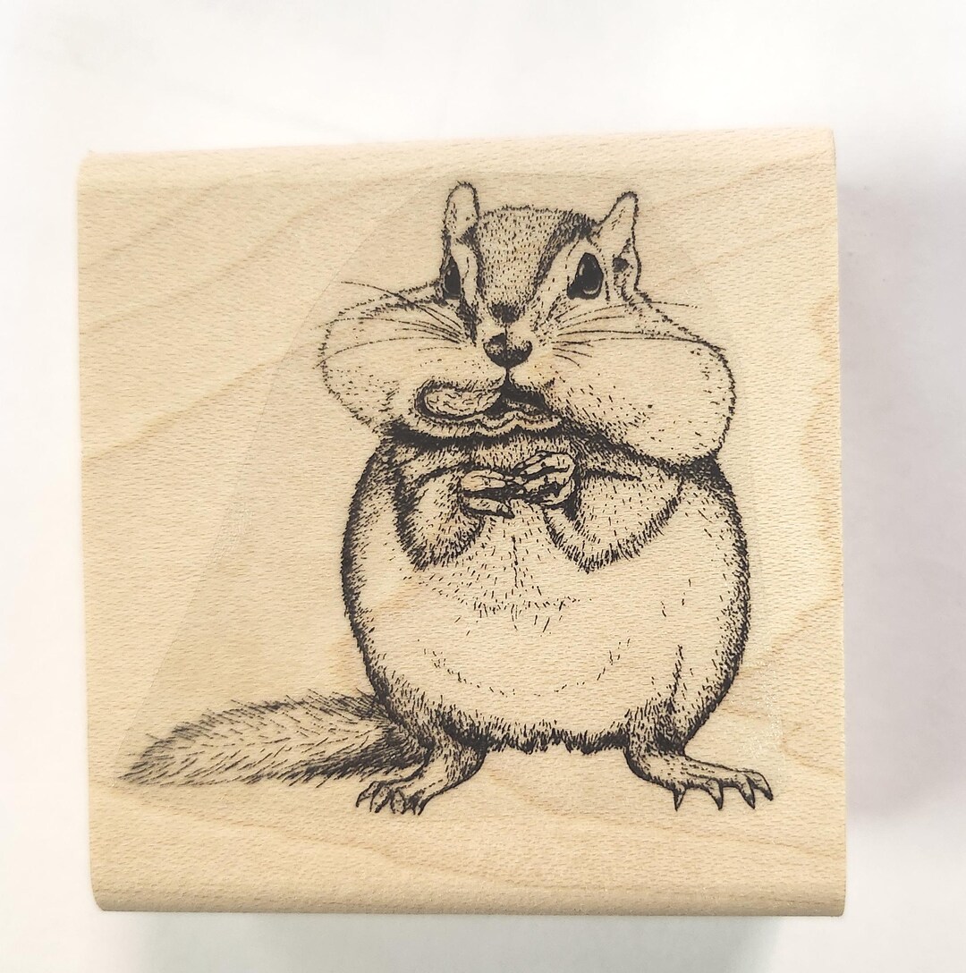 P87 Fat Chipmunk Eating a Peanut Rubber Stamp - Etsy