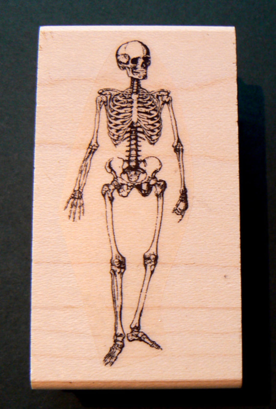 Smaller Skeleton Rubber Stamp P10 - Etsy