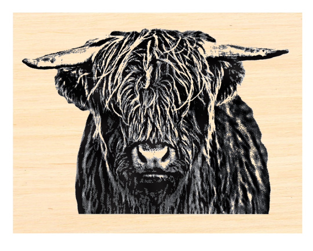 P126 Highlander Cow Rubber Stamp - Etsy