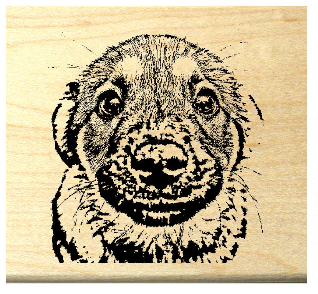 P119 Puppy Dog Rubber Stamp - Etsy