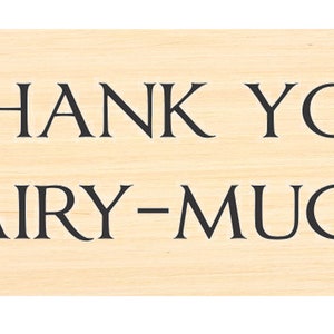 P54 Thank You Fairy Much Rubber Stamp - Etsy