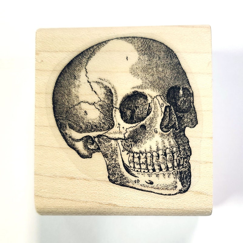 Skull Rubber Stamp - Etsy