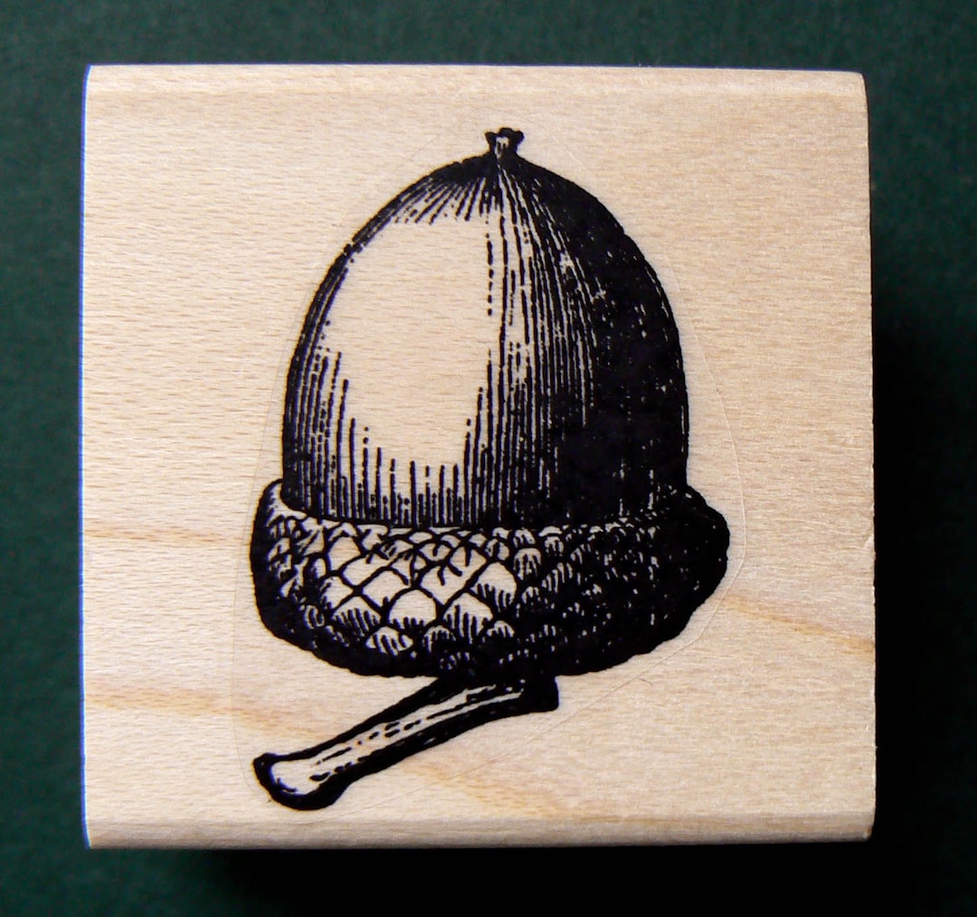 Acorn Rubber Stamp WM P3 - Etsy