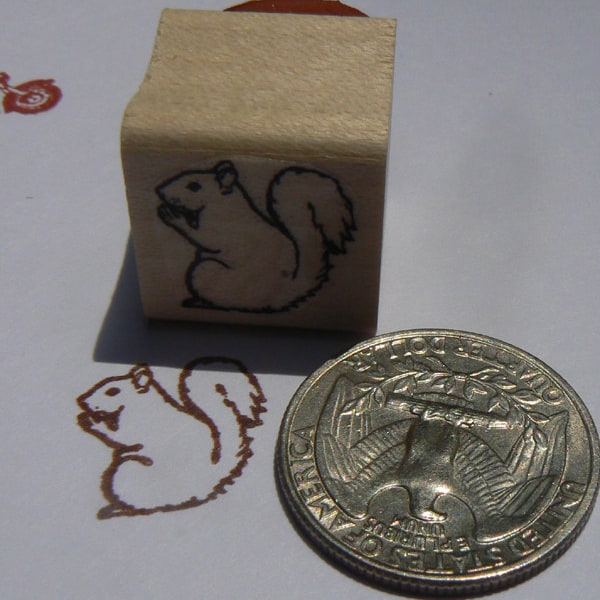 Squirrel Stamp - Etsy