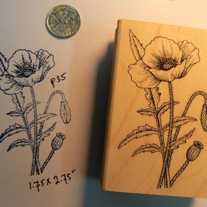Poppy Flowers Rubber Stamp P35 - Etsy
