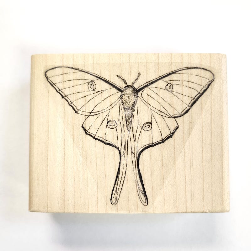 Moth Stamp - Etsy