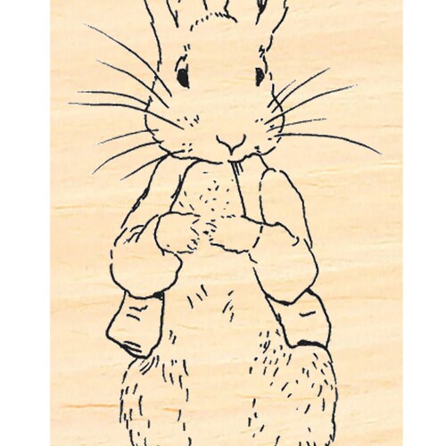 Peter Rabbit Beatrix Potter Rubber Stamp New Baby Baby | Etsy