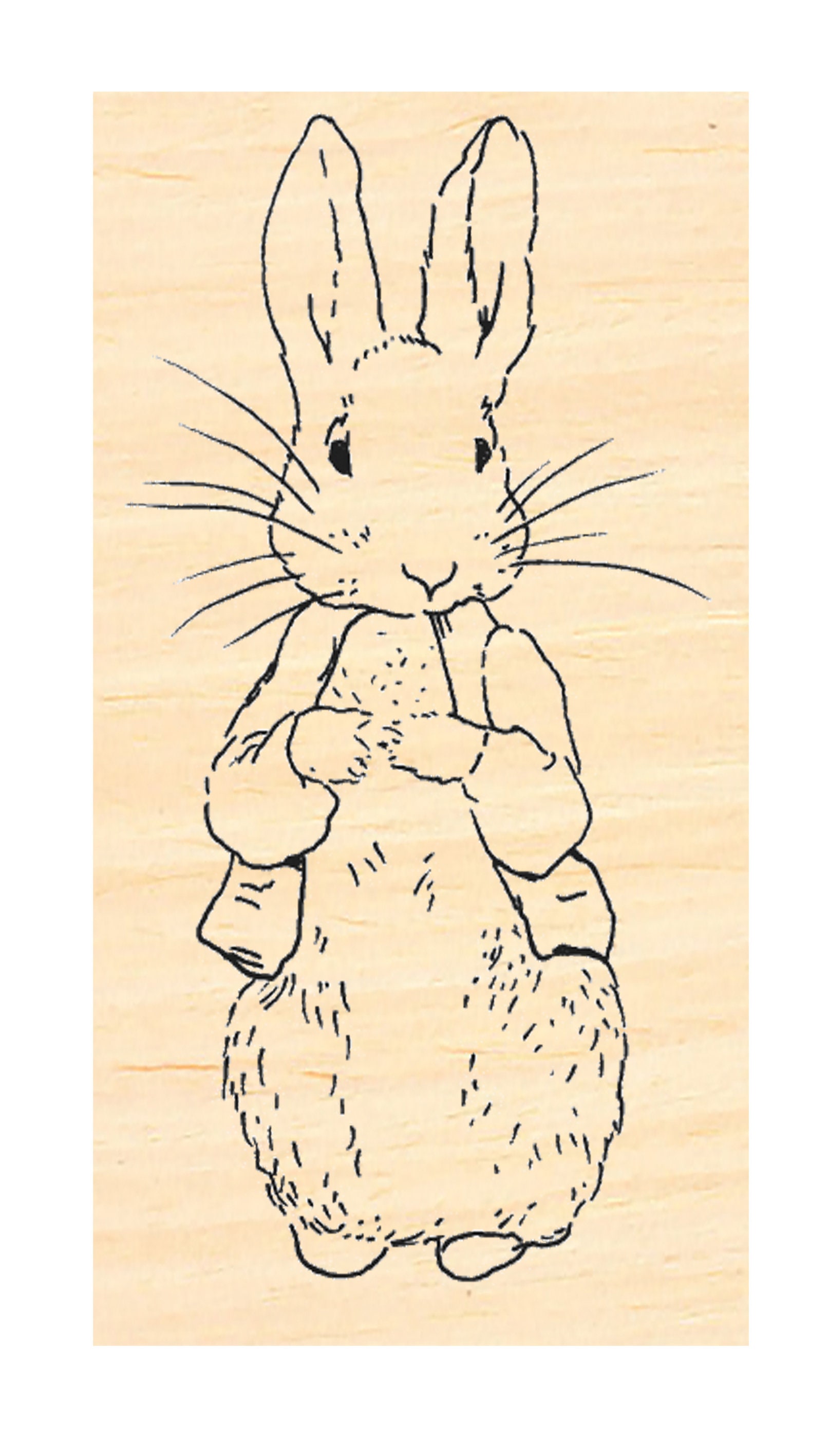 P128 peter Rabbit Rubber Stamp - Etsy