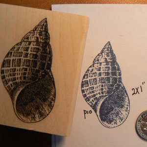 Shell, Rubber Stamp WM P10 - Etsy