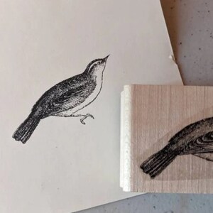 P15 Wren Bird Rubber Stamp - Etsy