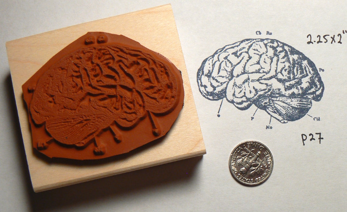 Human Brain-anatomy Rubber Stamp WM P27 - Etsy