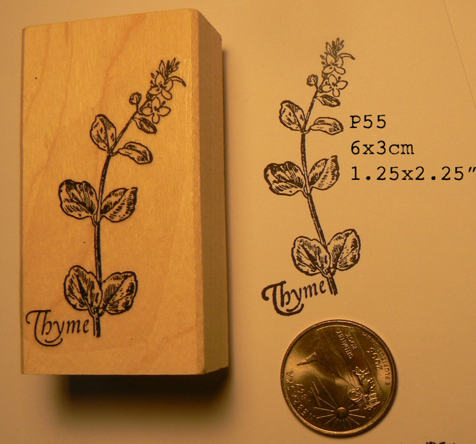 Thyme Herb Rubber Stamp WM P55 - Etsy
