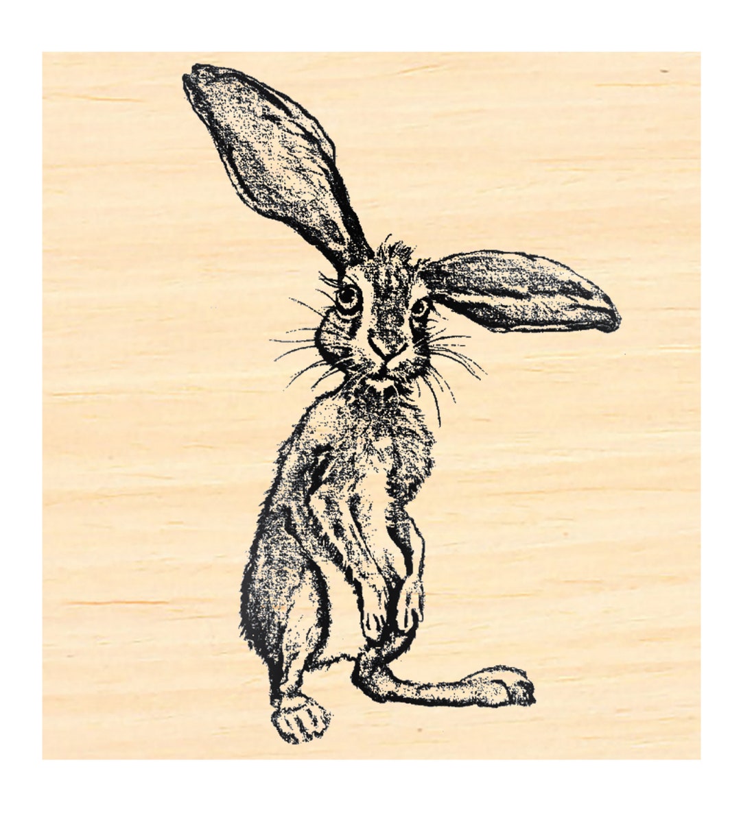 P137 Bunny, Rabbit, Hare Rubber Stamp - Etsy