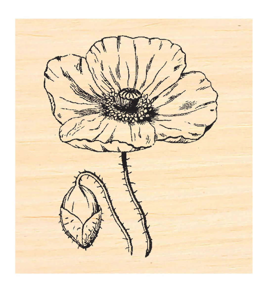Miniature Poppy Flowers Rubber Stamp P140 - Etsy