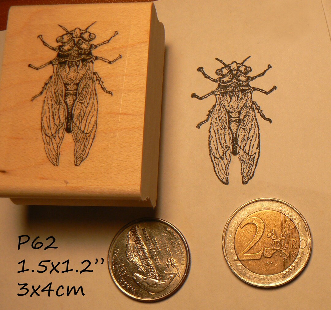 Cicada Insect Rubber Stamp P60 - Etsy