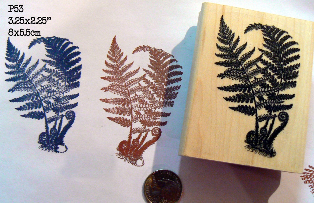 Large Fern Rubber Stamp P53 - Etsy