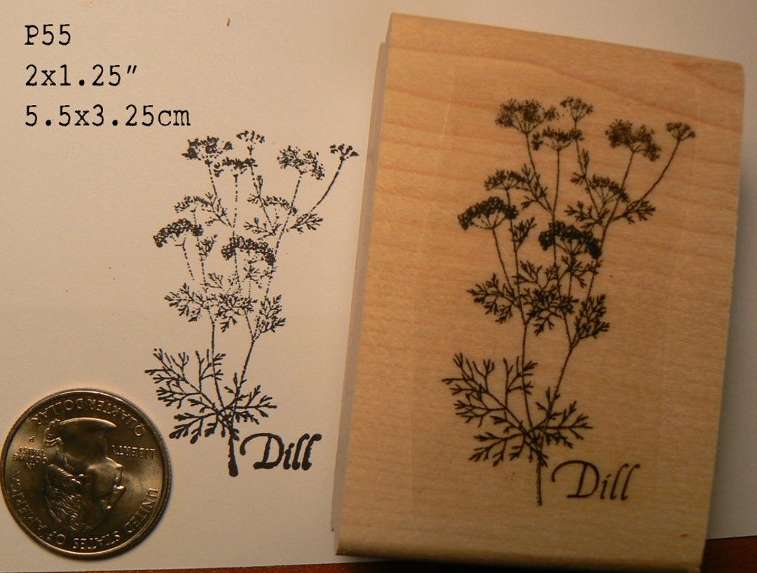 Dill Herb Rubber Stamp WM P55 - Etsy