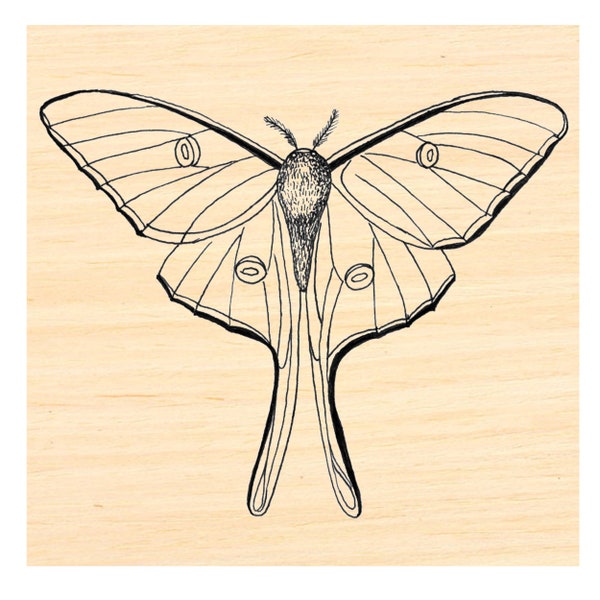 Moth Stamp - Etsy