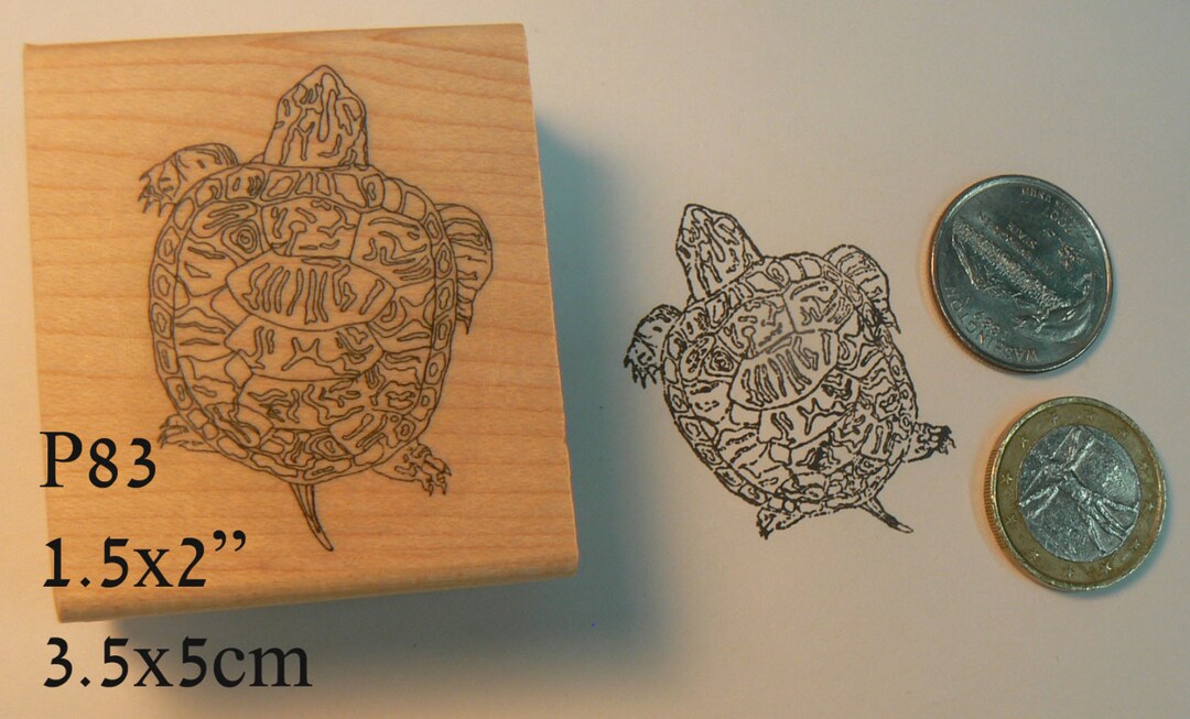 P83 Baby Turtle Rubber Stamp - Etsy