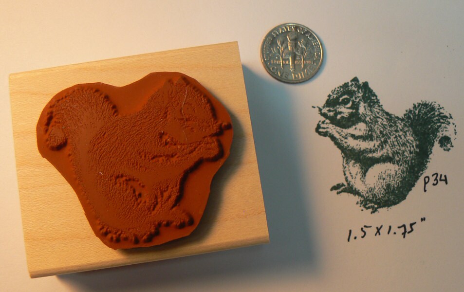 Squirrel Rubber Stamp P34 - Etsy