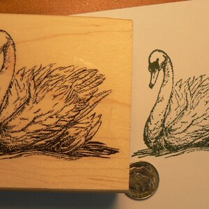 P30 Swan Rubber Stamp WM Deep Etched - Etsy
