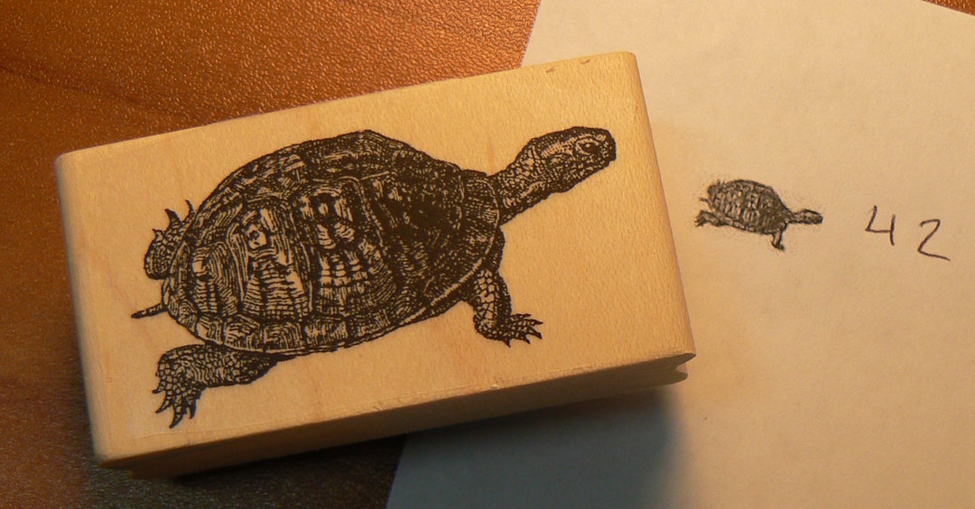 P42 Turtle Rubber Stamp - Etsy