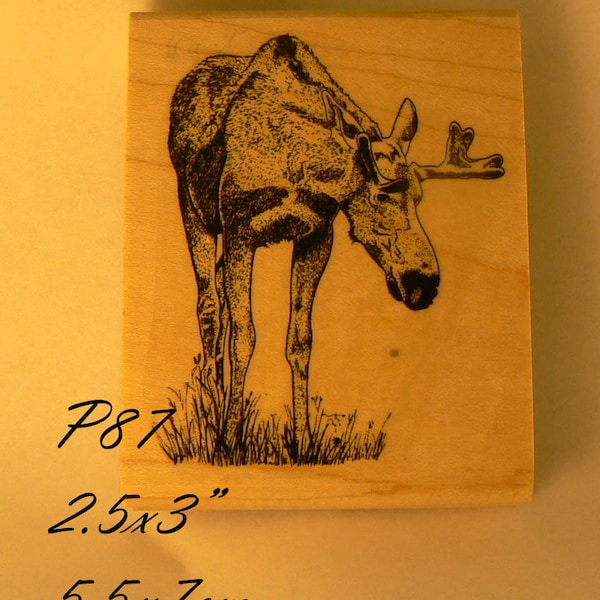 Moose Stamp - Etsy