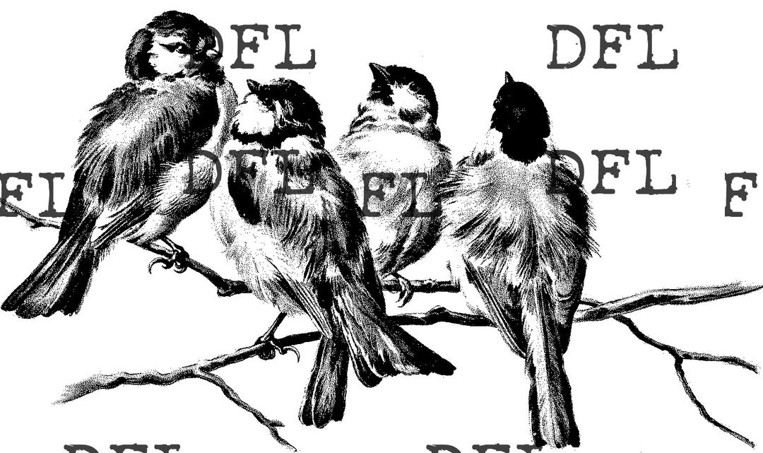 Birds on Branch Digi Stamp - Etsy