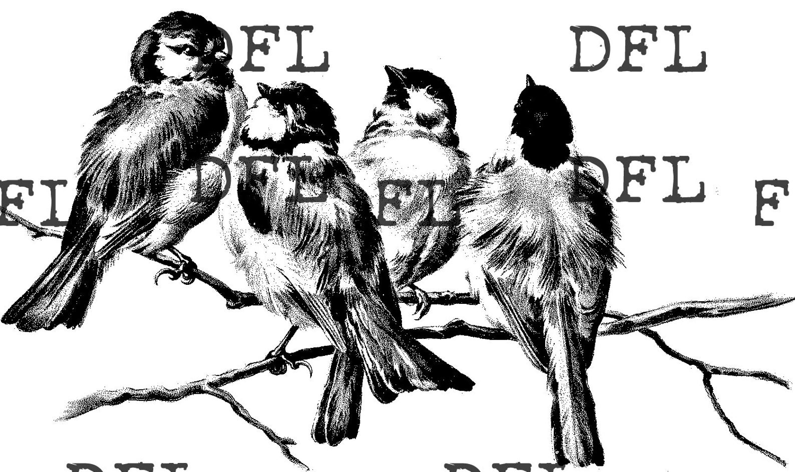 Birds on Branch Digi Stamp - Etsy